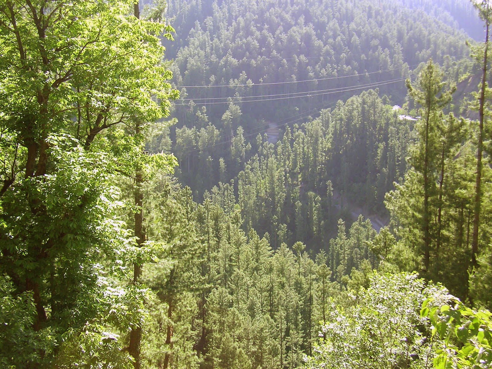 Nathia Gali Wallpapers ~ Pakistani Tourism