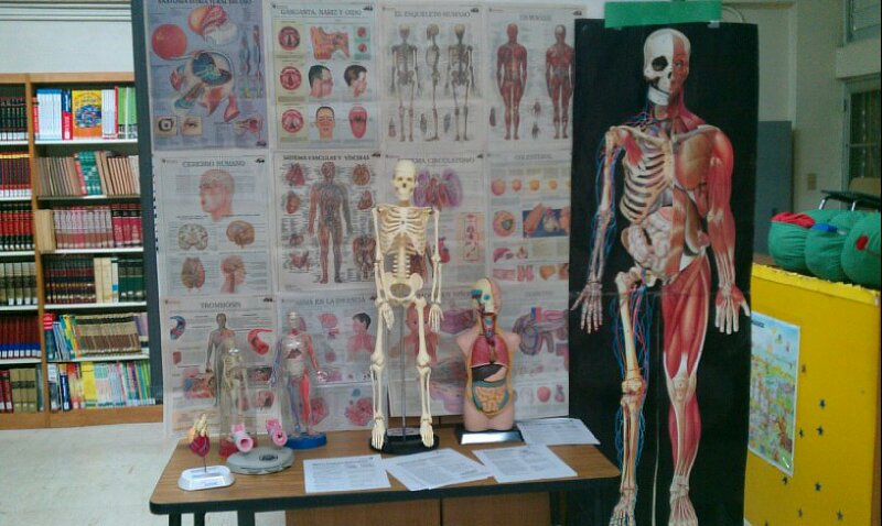 Biblioteca Escolar Pedro Fidel Colberg