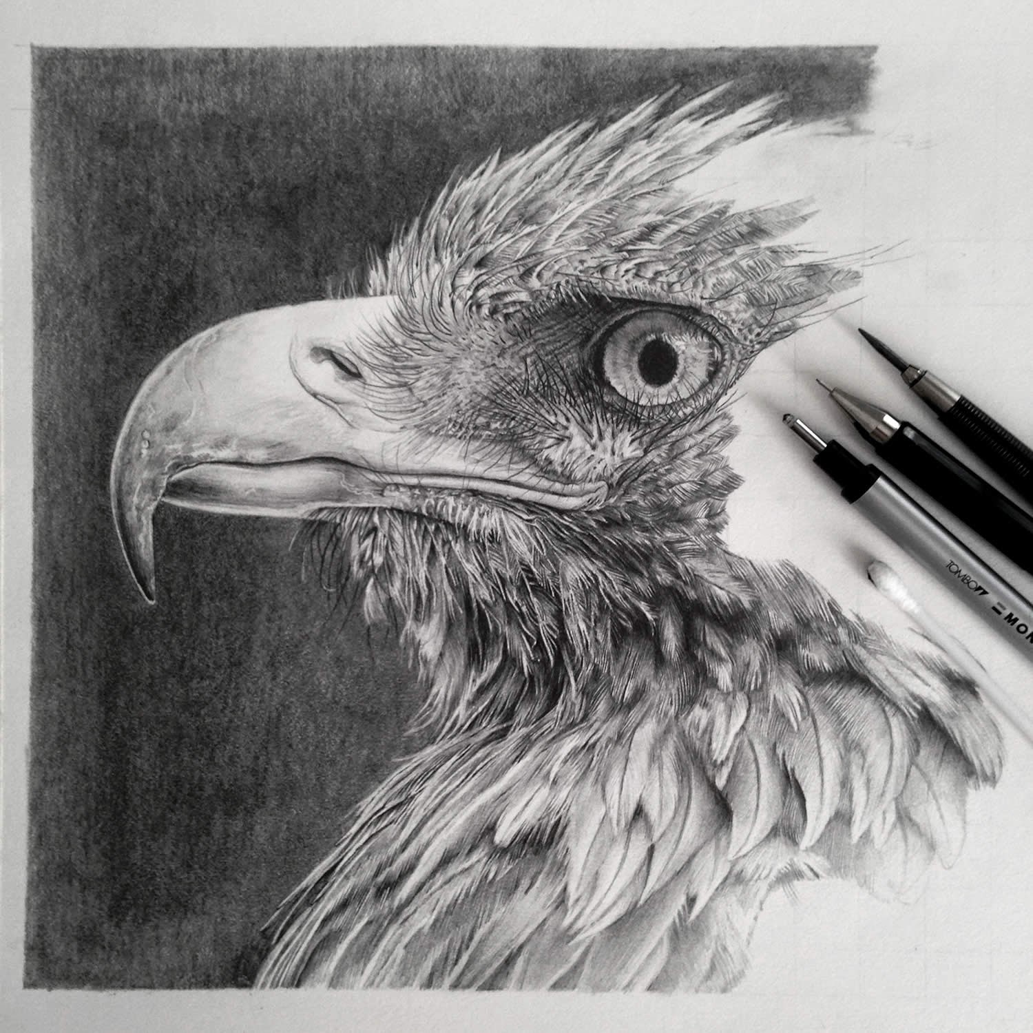 On Draw On Draw
