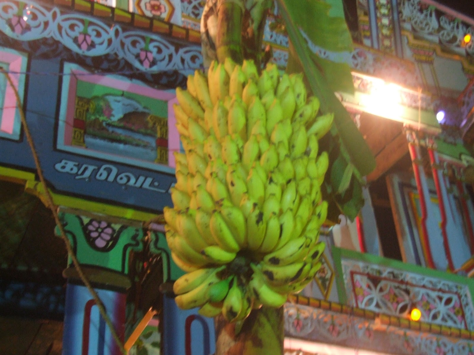 Passion Parade: Jaffna Music Festival: A Celebration of Musical Expressions