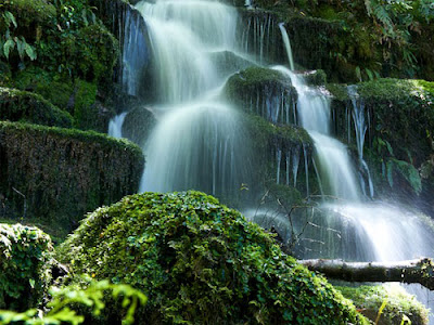 Te Urewera National Park