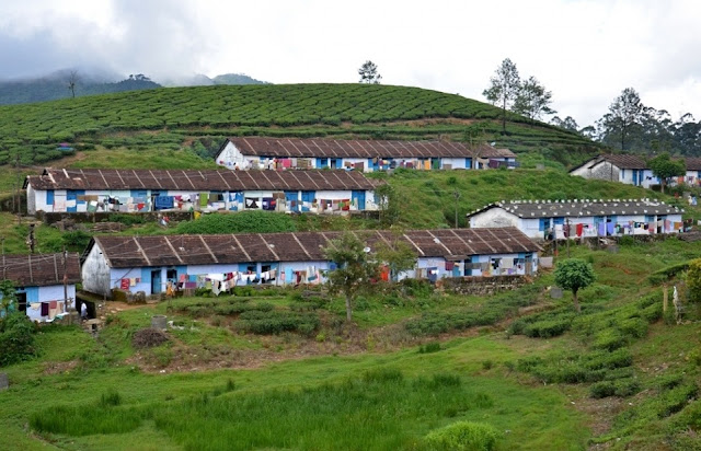 Tamilnadu Tourism: Nalumukku, Manjolai Hills