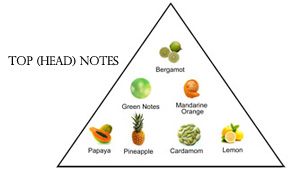 What is the Fragrance Pyramid and Perfume Notes? - FM Perfumes ...