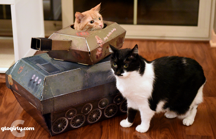Cats Driving Tanks