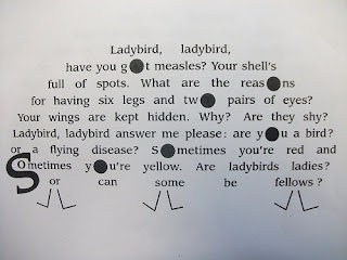 Mrs Bizzy's Class Blog: The Ladybird Question Poem