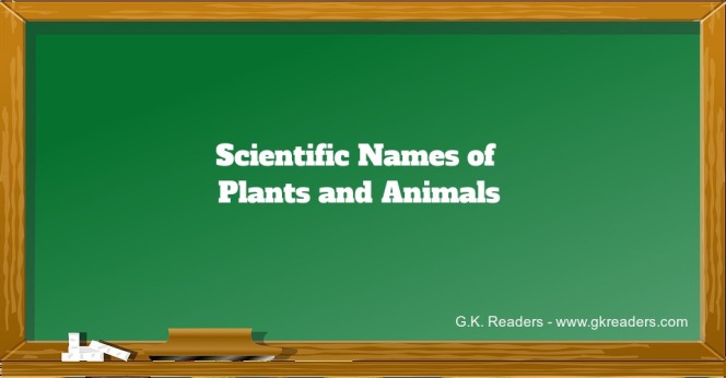 Scientific Names of Plants and Animals - G.K. Readers