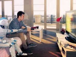 Robot Pembantu Pekerjaan Rumah Tangga