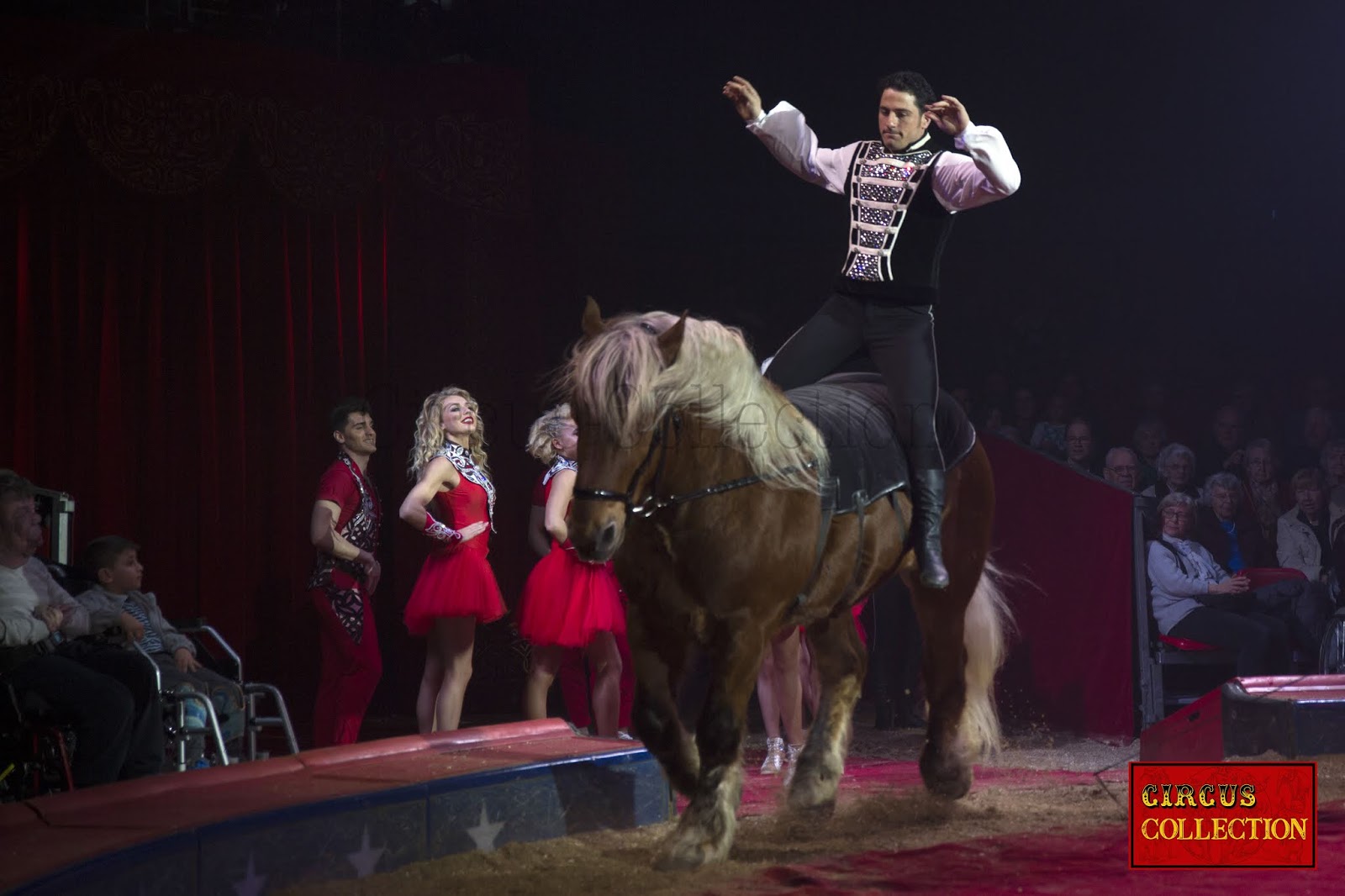 Circus -Collection: Cirque Knie 2018 retrospective de la saison