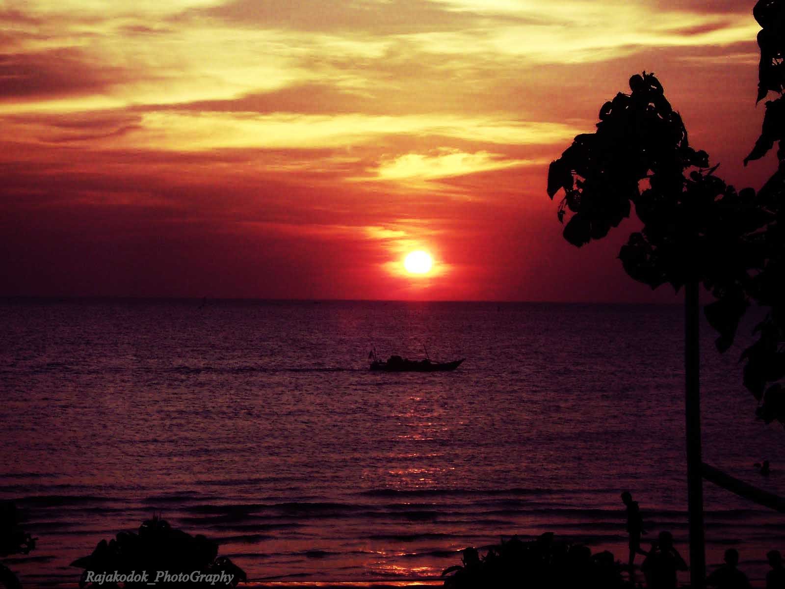 HasiL Editing Photo RajaKodok PhotoGraphy