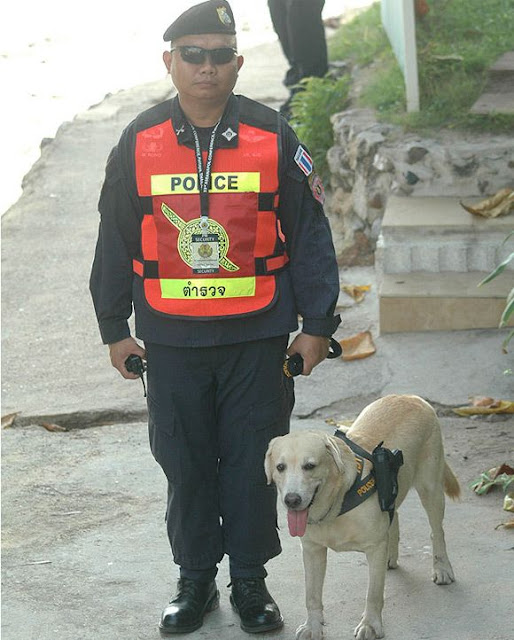 Serius : Anjing Polis Di Thailand Membawa Pistol Seperti Polis (3 ...