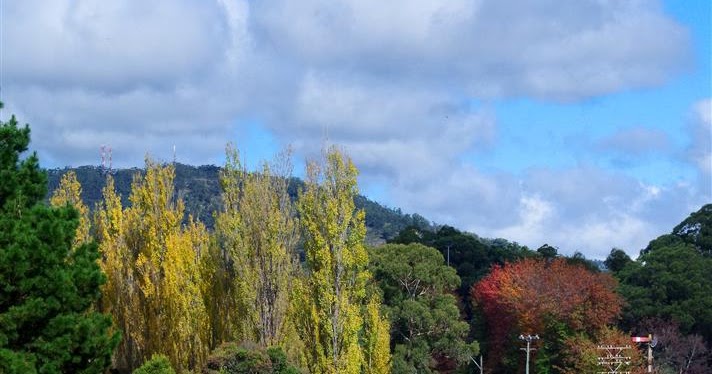 Rollingstock News: Mittagong in Autumn