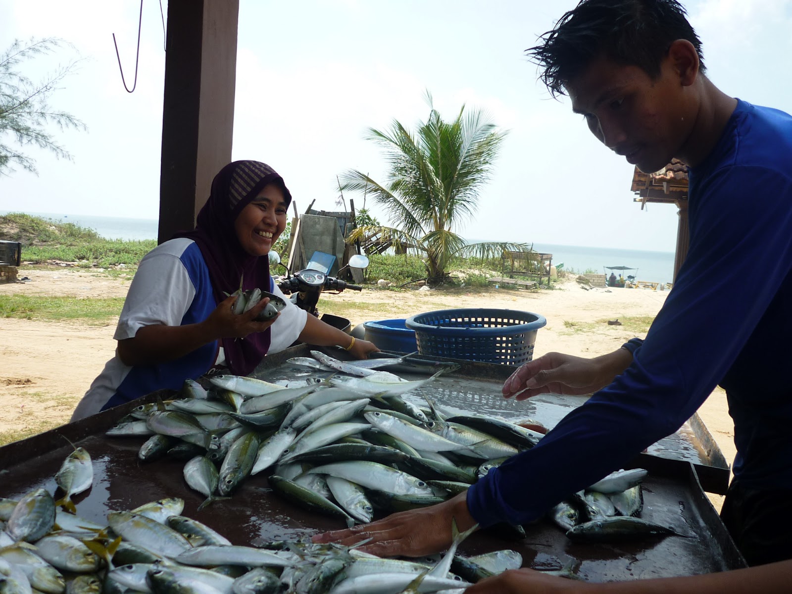 Ikan Segar dari Laut China Selatan