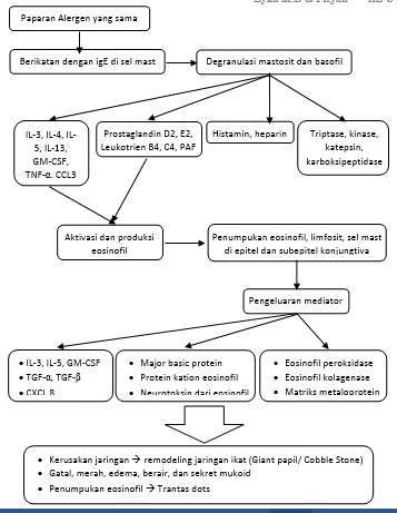 Patofisiologi Katarak Pdf