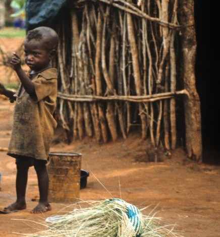 Starvation syndrome - HEALTHY FOOD DIET