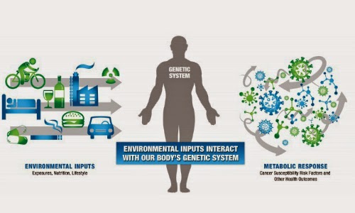 Candidate gene-environment interactions in breast cancer