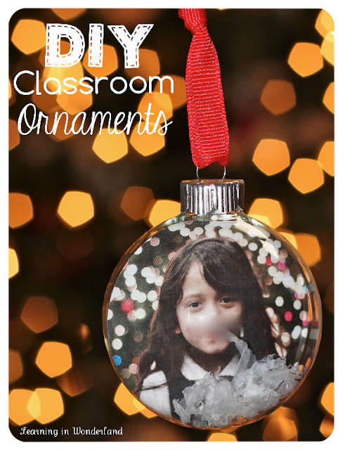 Student Ornaments | Learning In Wonderland