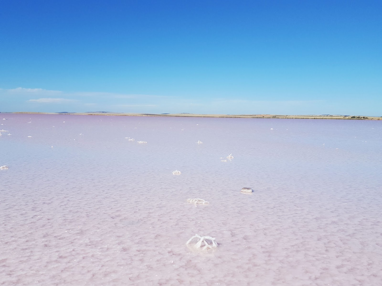 Lake Bumbunga, South Australia - THE PINK LAKE - Jeannie in a Bottle