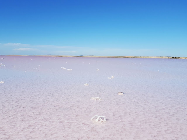Lake Bumbunga, South Australia - THE PINK LAKE - Jeannie in a Bottle