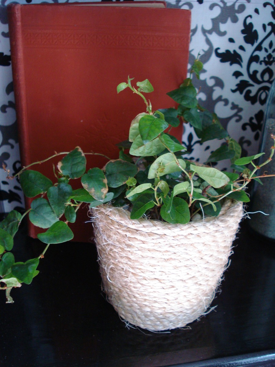 Heart Maine Home: Rope planter {DIY}