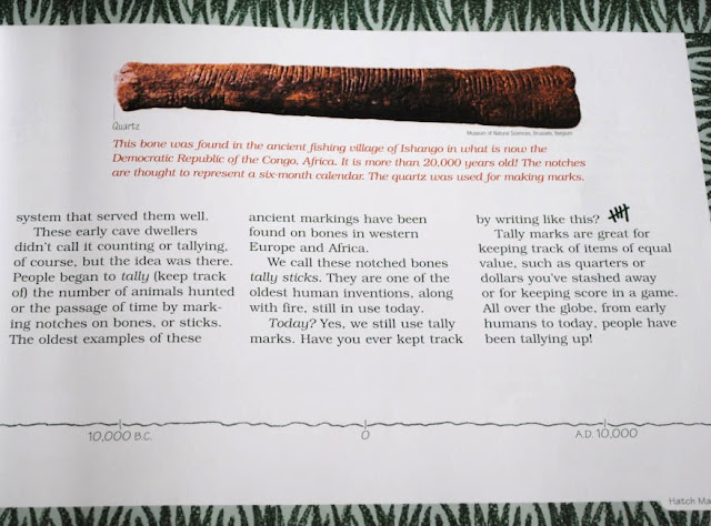 Mommy Maestra: Tally Sticks...Err, Bones?