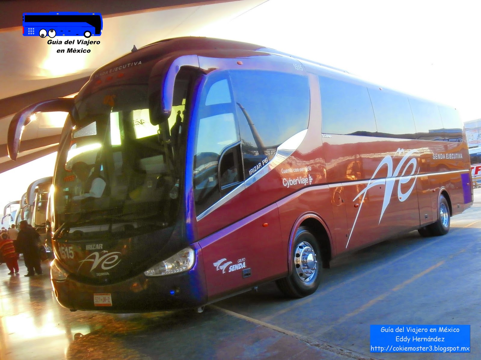 Conoce más sobre los autobuses de Grupo Senda