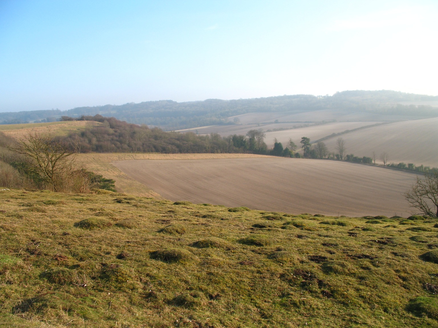 Walks among Flowers: Oxfordshire: Ewelme to Maidensgrove: Ancient ...