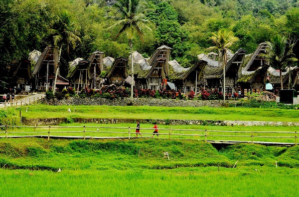 16 Tempat Wisata Tanah Toraja yang Terbaru Wajib Dikunjungi - Dunia ...