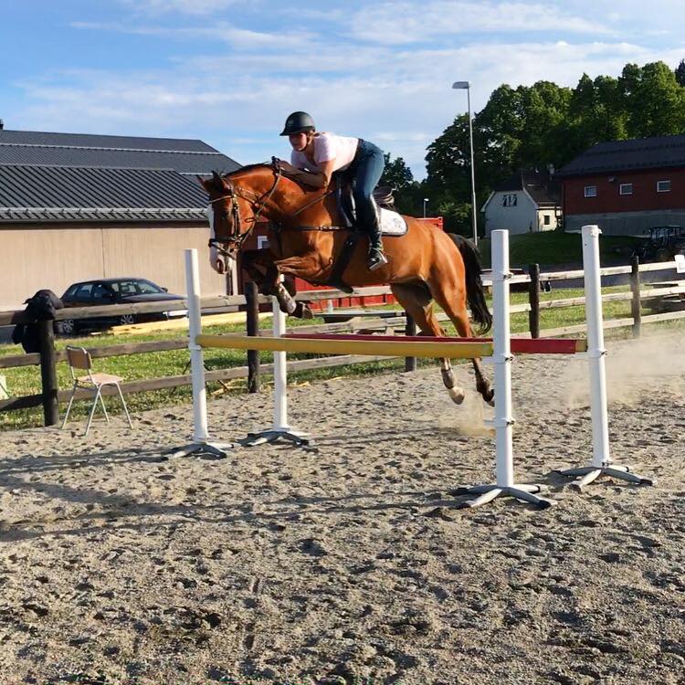 Buskerud videregående skole, Naturbruk og Heste- og hovslagerfaget ...