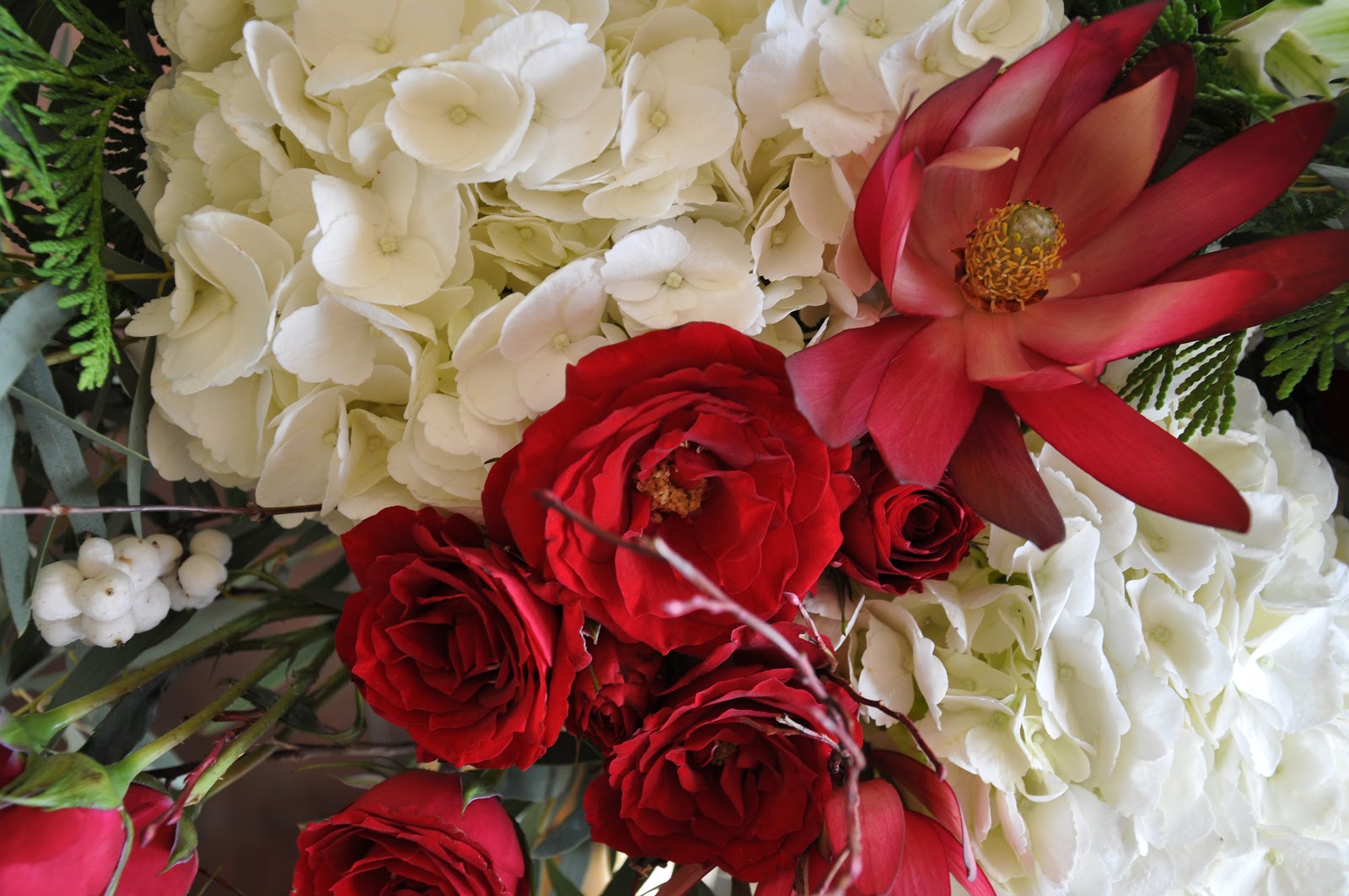 Tara McHugh Flora: Winter flowers - white hydrangea and red roses