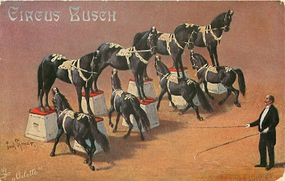 The Circus "NO SPIN ZONE": 02/11/12