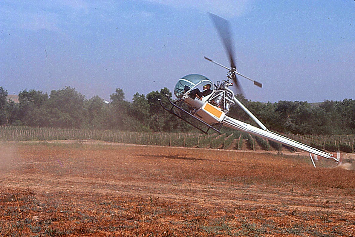 Art Now and Then: The Worst Movie Ever?