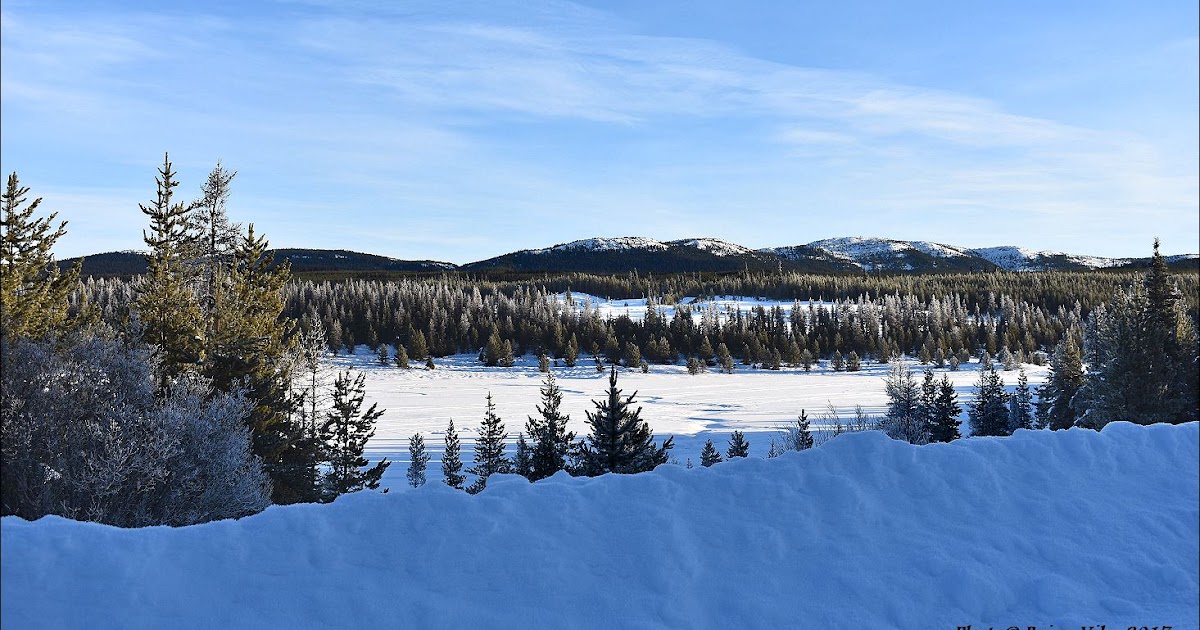 Northern Interior British Columbia: Frosty Winter Houston British Columbia