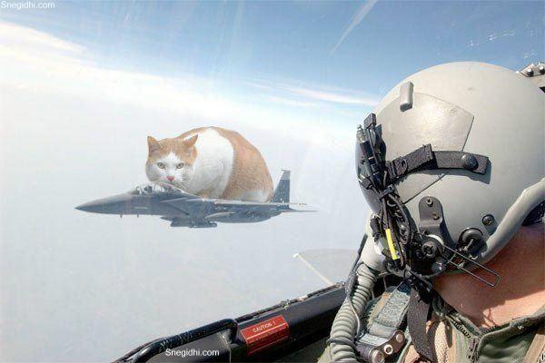 FUNNY JET FIGHTERS PICTURES | FUNNY INDIAN PICTURES GALLERY ...