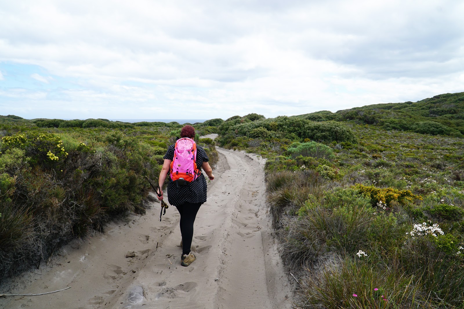 Torbay Head & West Cape Howe (West Cape Howe National Park) ~ The Long ...