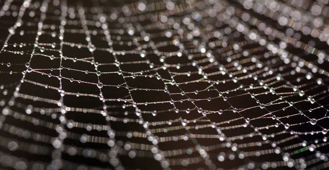 Isaiah--the web of sin: Isaiah 59:5-8