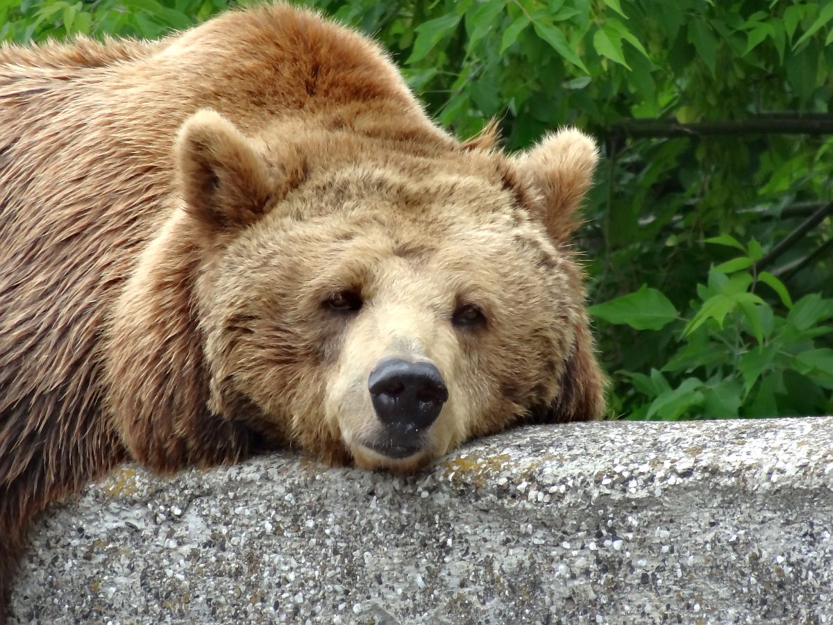 Wiosna w parku Praskim. | Warszawista