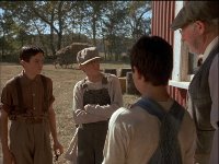 Bib Overalls Film Blog: Where the Red Fern Grows (2003)