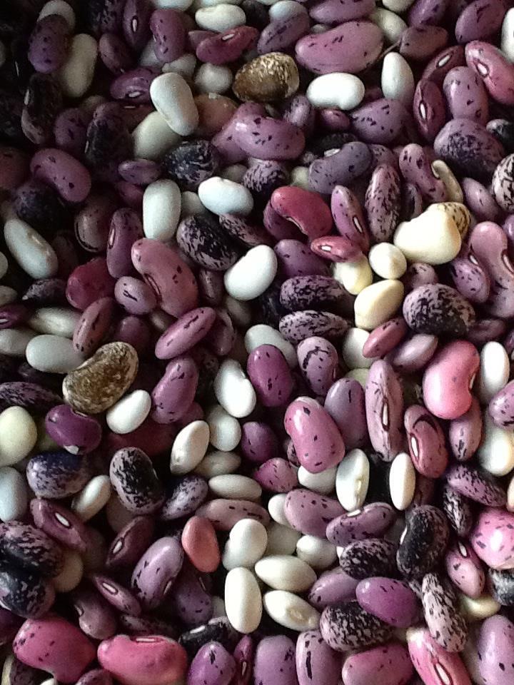 To Zowa Sho- a Bhutanese food journal