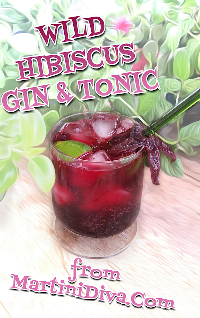 The MARTINI DIVA: WILD HIBISCUS GIN & TONIC COCKTAIL