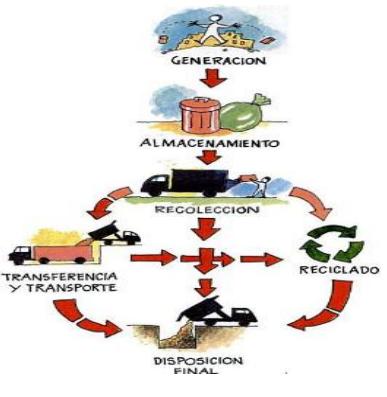 Alternativas para Cuidar el Medio Ambiente: IMPORTANCIA DE LAS ...
