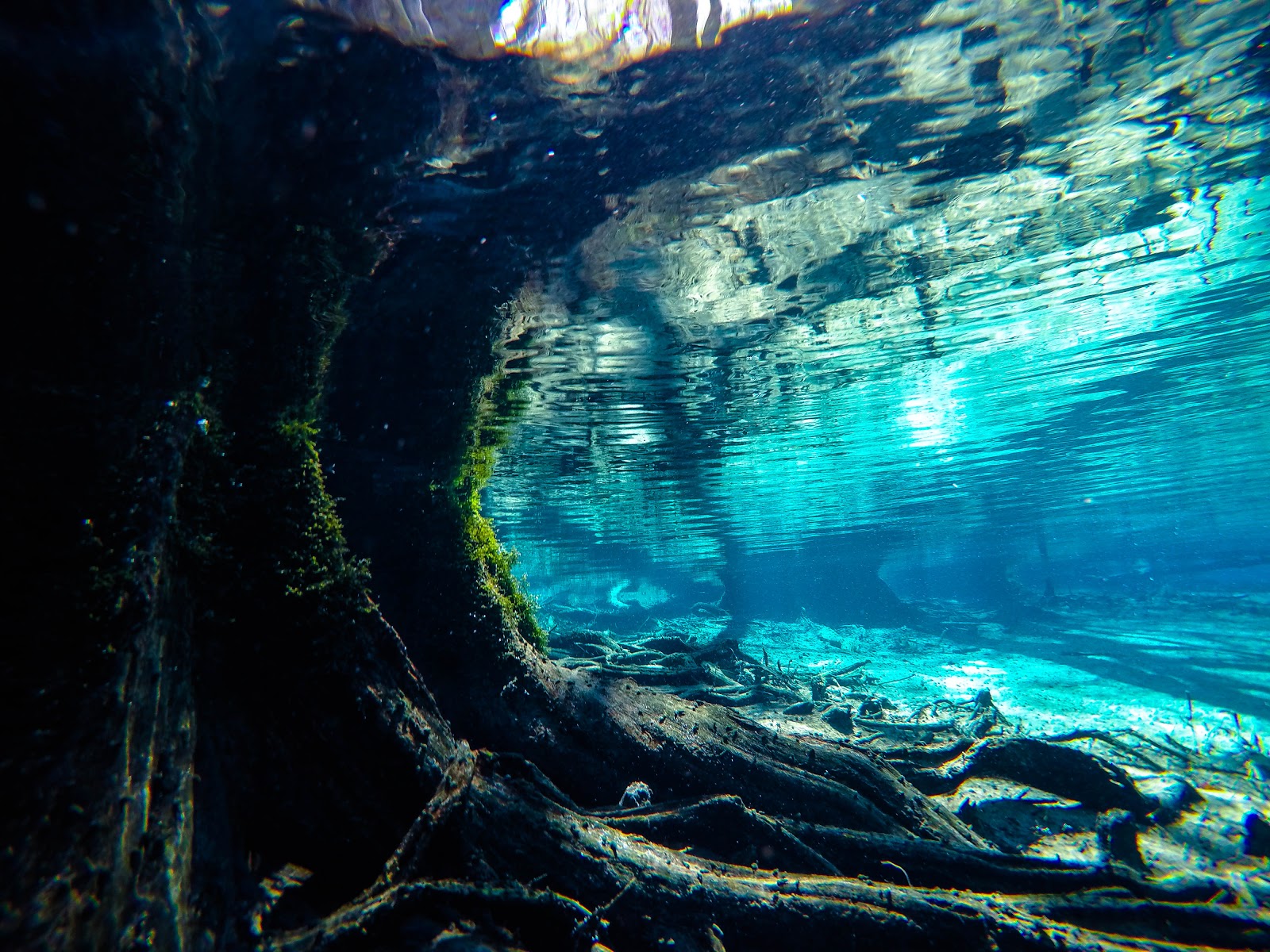 The sacred blue gems of Northwest Florida.: The Sacred Cypress Springs