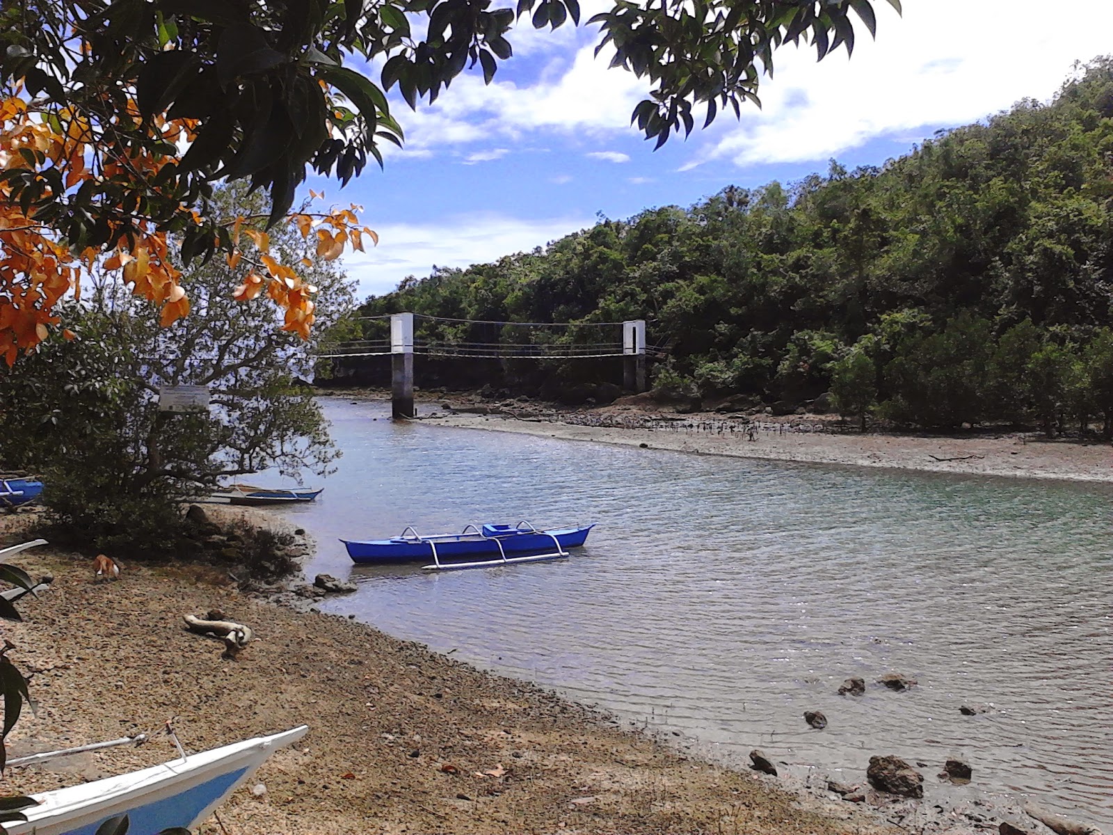 Roger The Explorer: Mesmerize the Beauty of Tabogon, Cebu