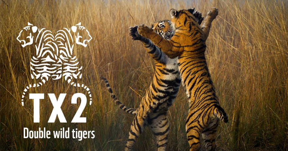 That Ease: What is Tx2?