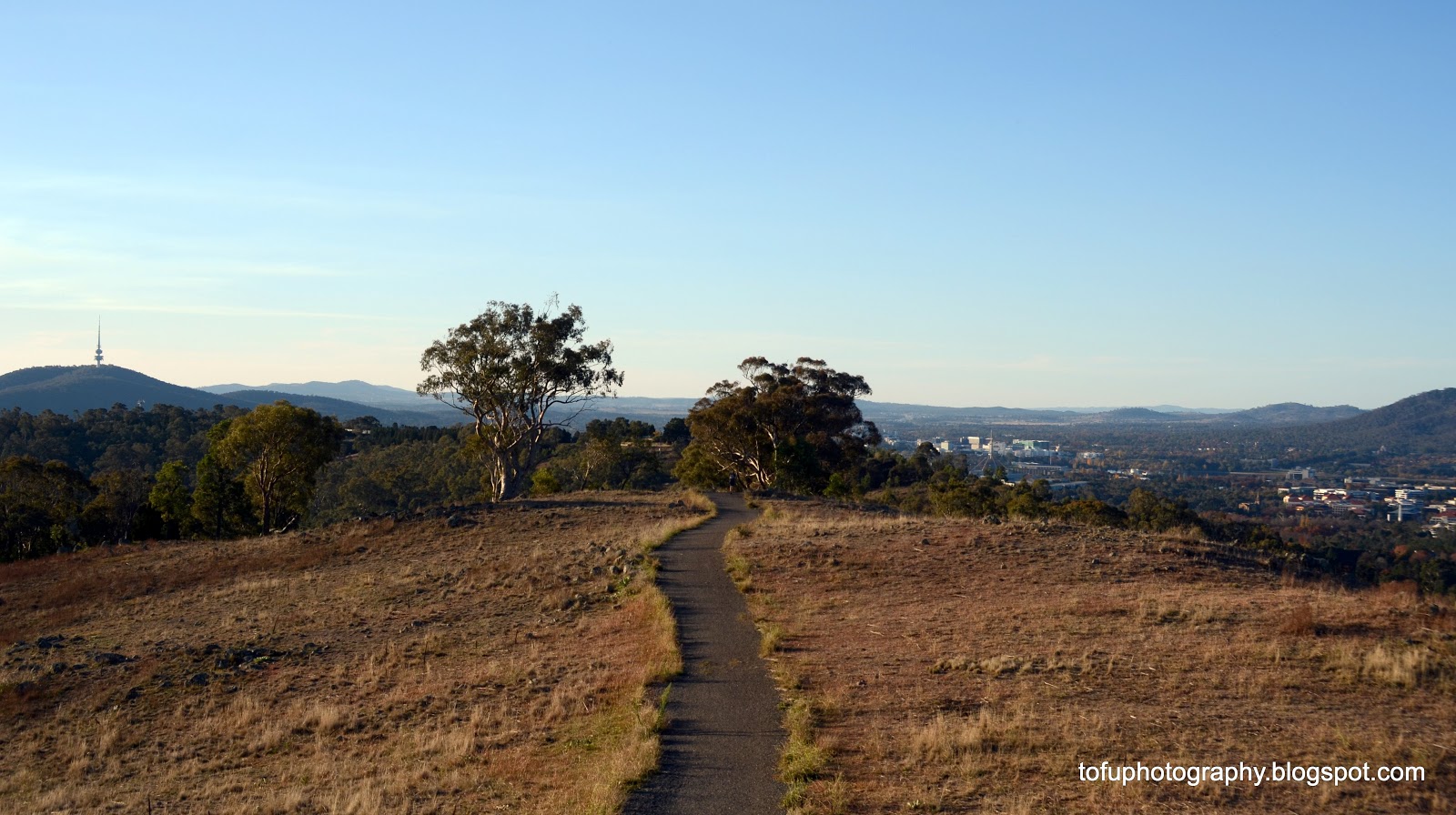 Tofu Photography: A path at Red Hill, Canberra