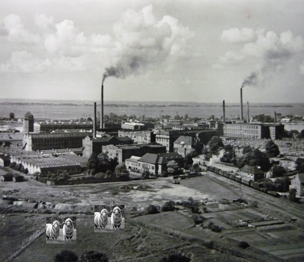 Blumenthal: Probleme und Chancen: BWK: Ein-blicke