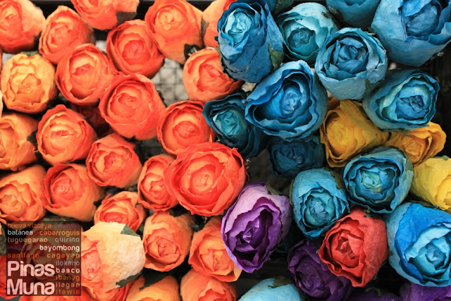 Fossilized Flower Production in Quirino Province