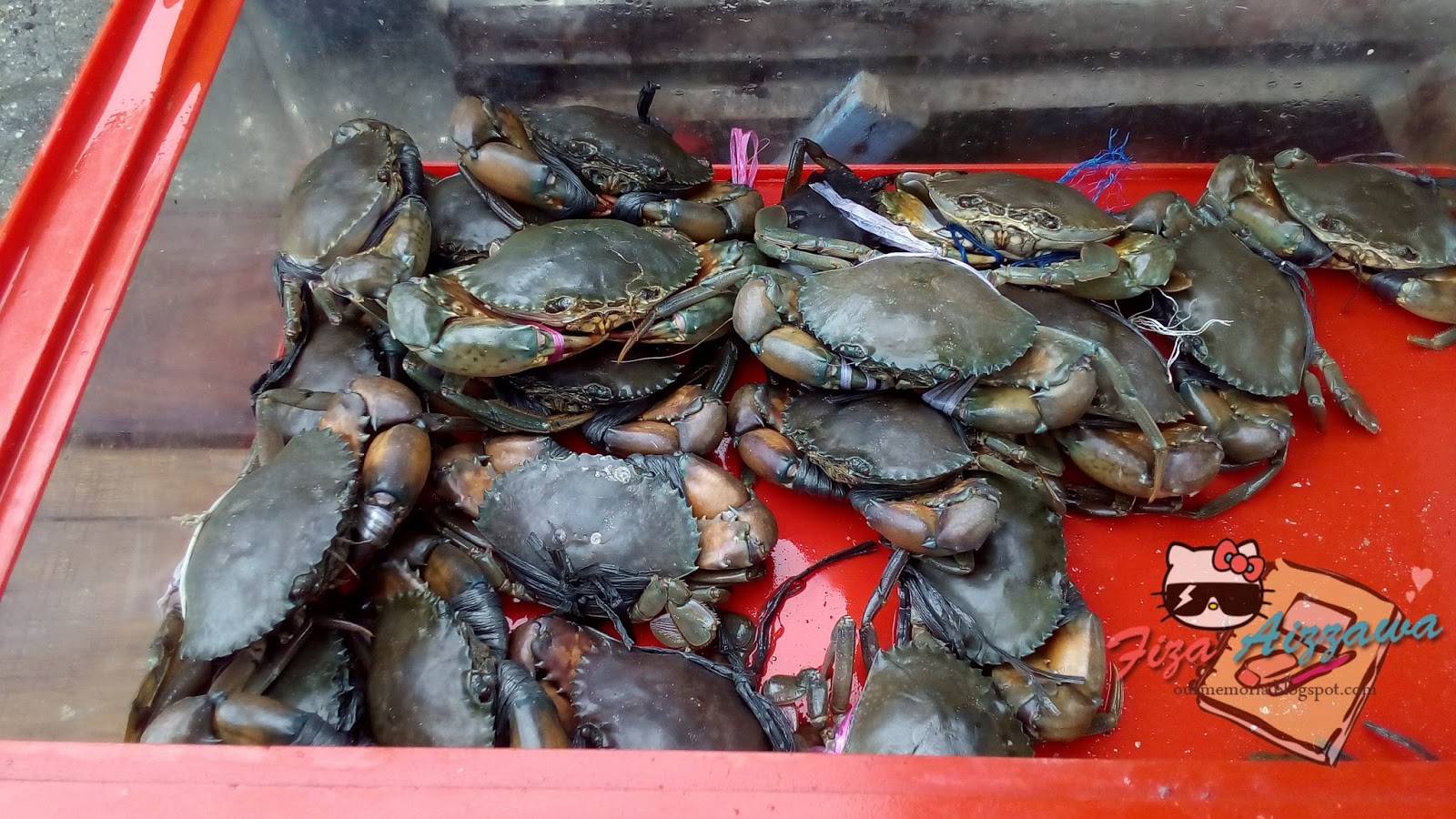 Mencari seafood segar di Pantai Remis, Kuala Selangor