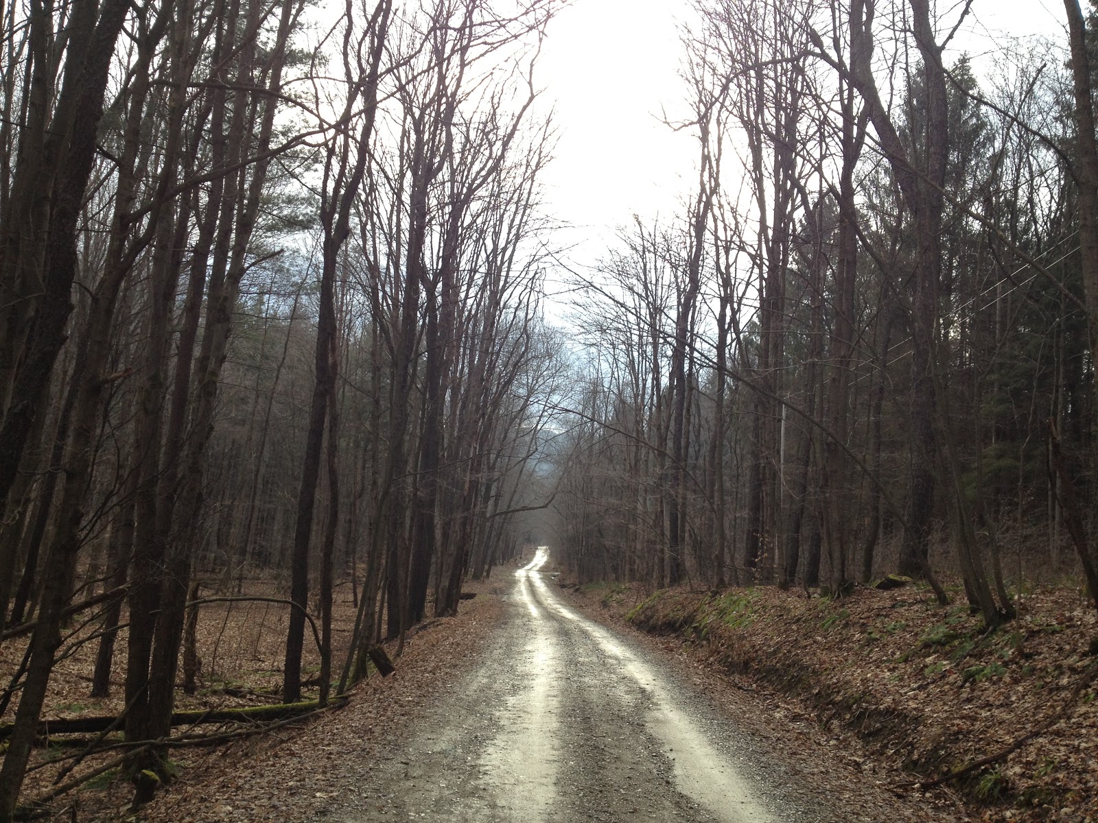 "On and Off Road Astronomy" with the "Drive-By Astronomer" in Western NY