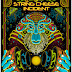 INSIDE THE ROCK POSTER FRAME BLOG: String Cheese Incident Oakland ...