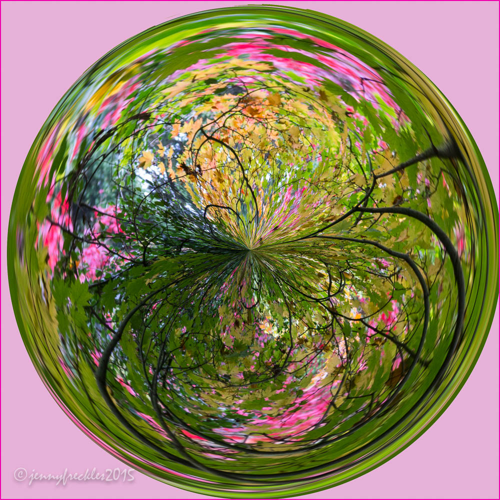 Saltaire Daily Photo: An Amazing Circle